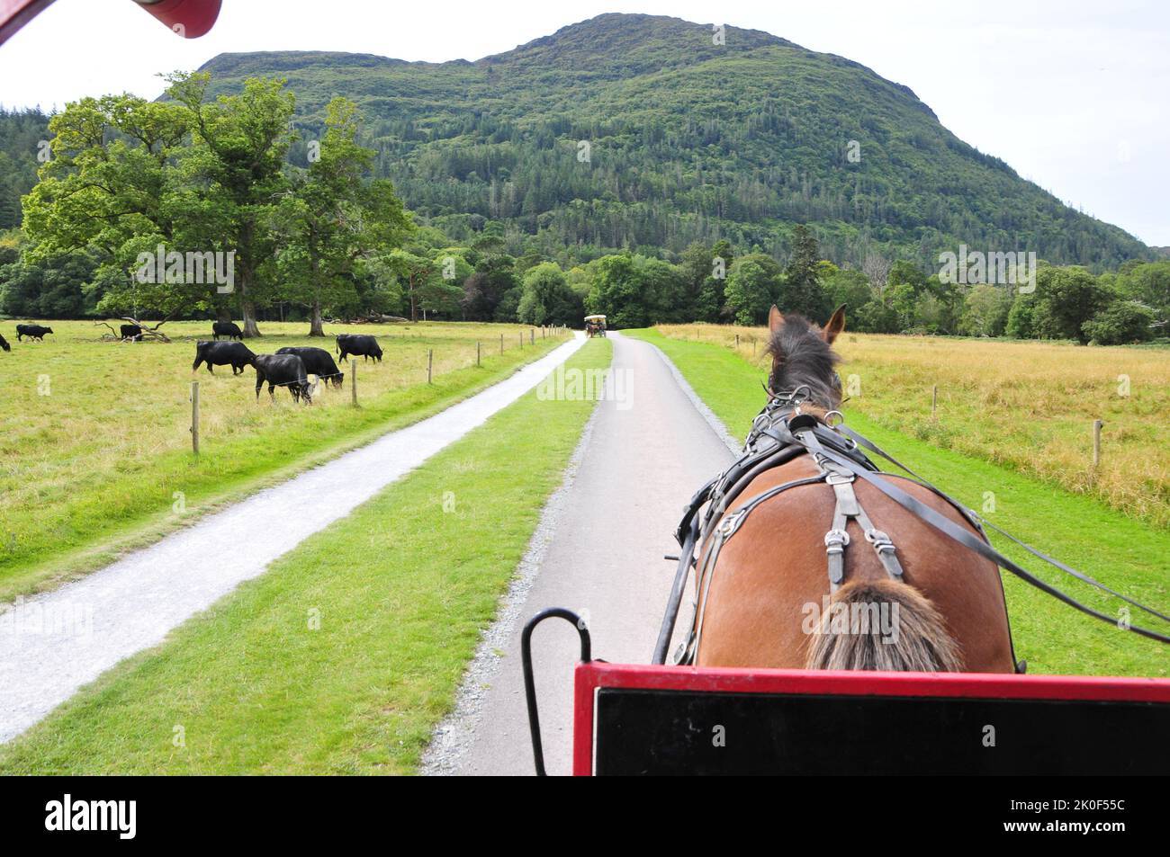 Killarney national park Stock Photo - Alamy