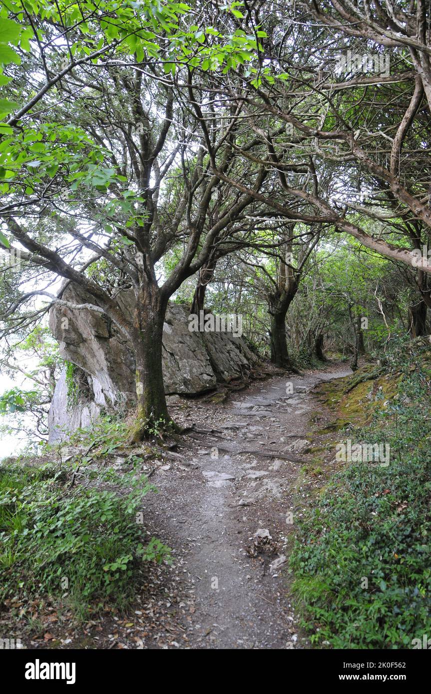 Killarney national park Stock Photo - Alamy