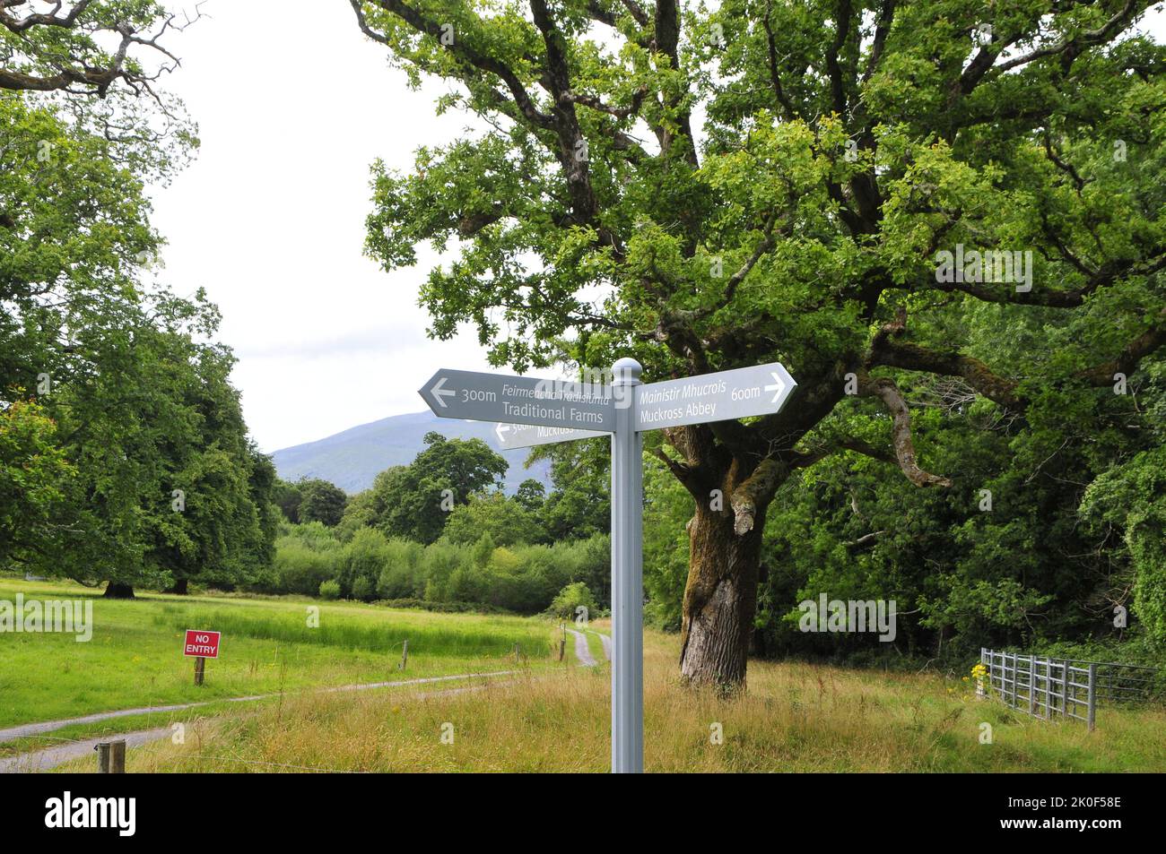 Killarney national park Stock Photo - Alamy