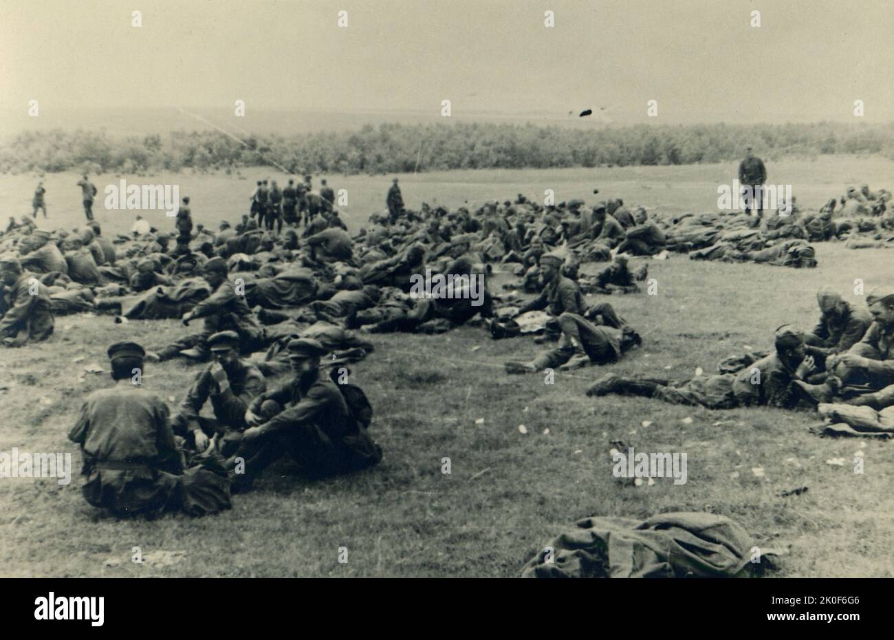 Russian prisoners operation barbarossa hi-res stock photography and ...