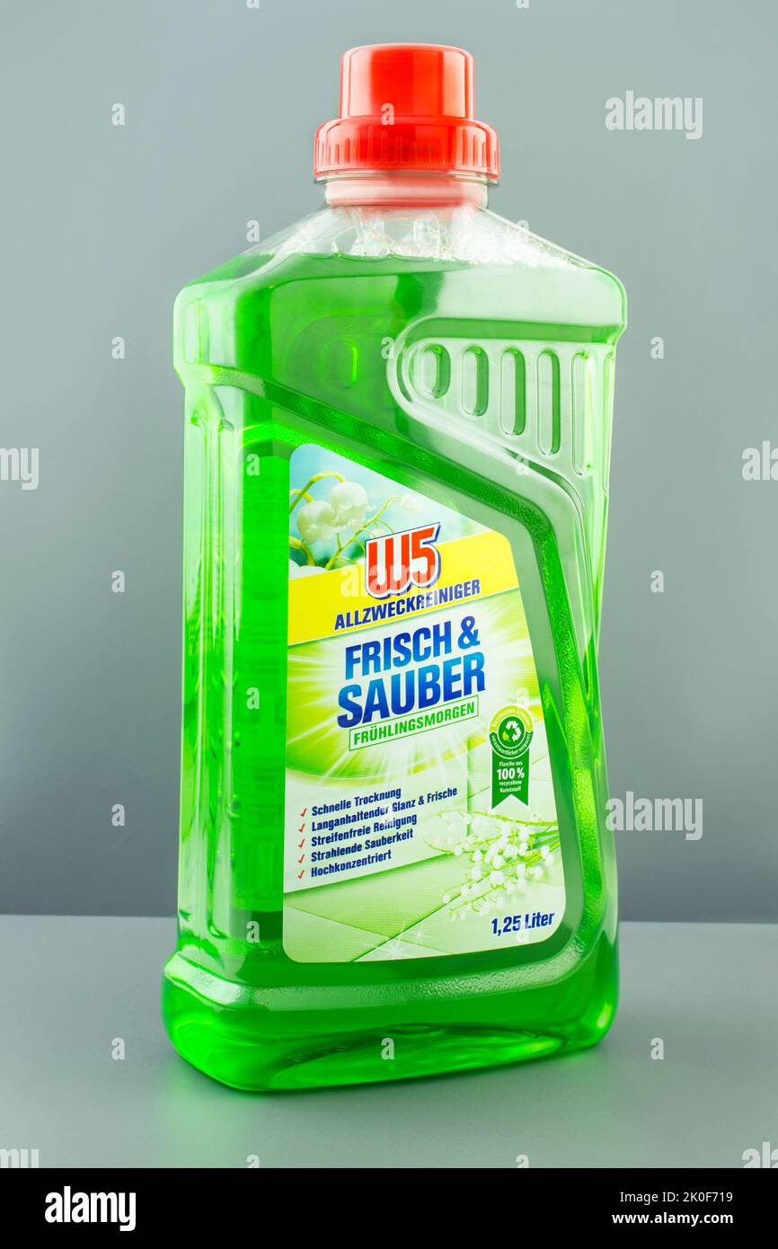 1 Flasche W5 Allzweckreiniger Frisch und Sauber Frühlingsmorgen Stock ...
