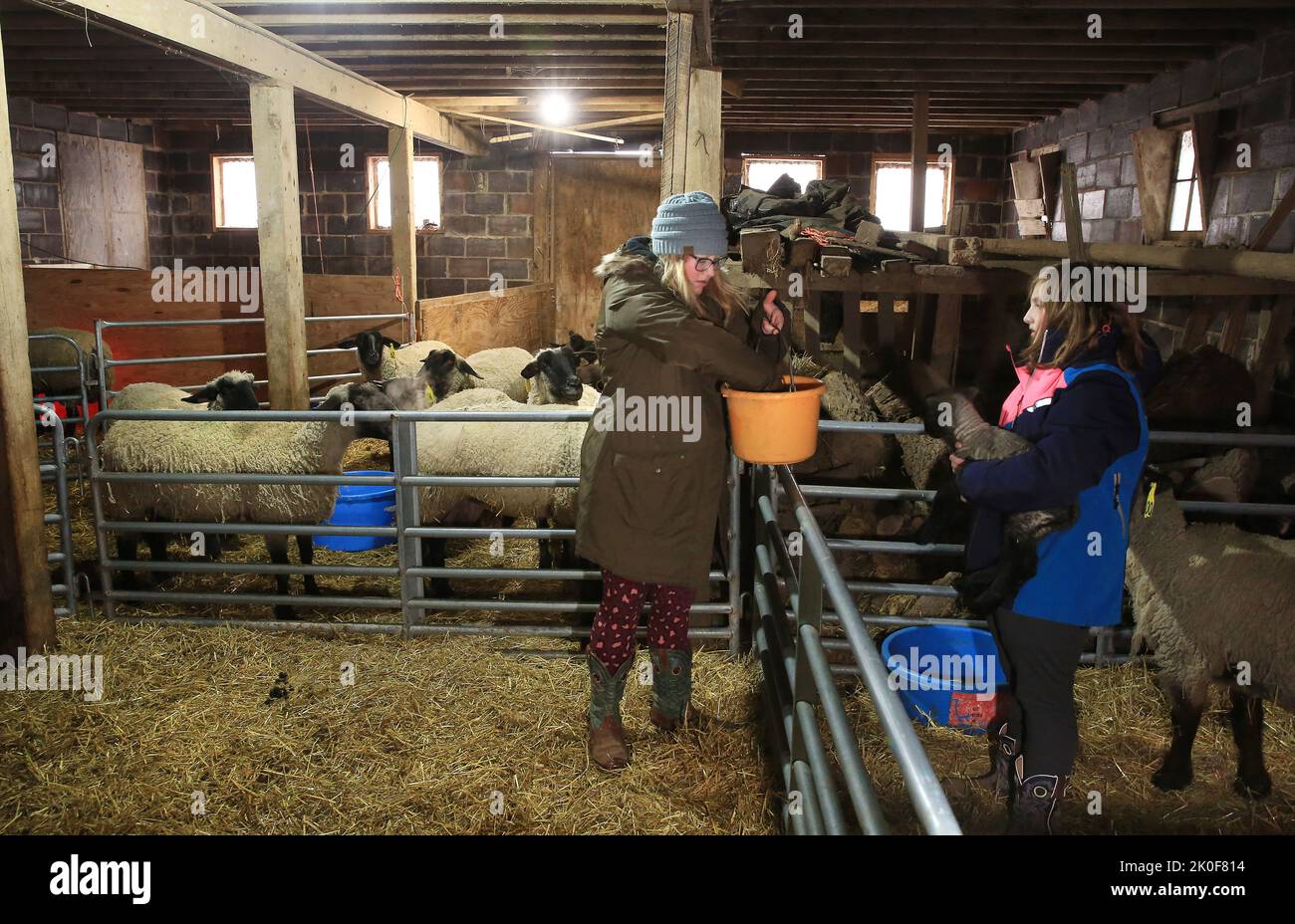 Elwood, Iowa, USA. 16th Jan, 2022. Cailey Hughes and eleven-year-old ...