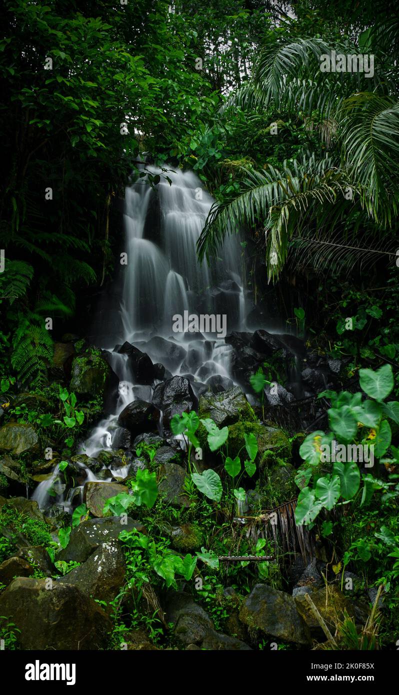 Aceh waterfall hi-res stock photography and images - Alamy