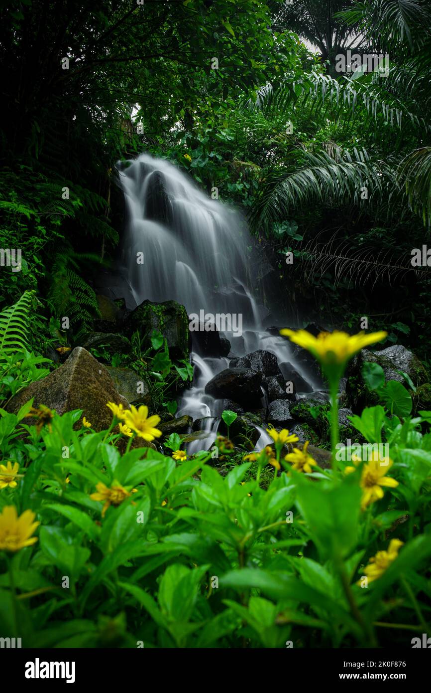 Aceh waterfall hi-res stock photography and images - Alamy
