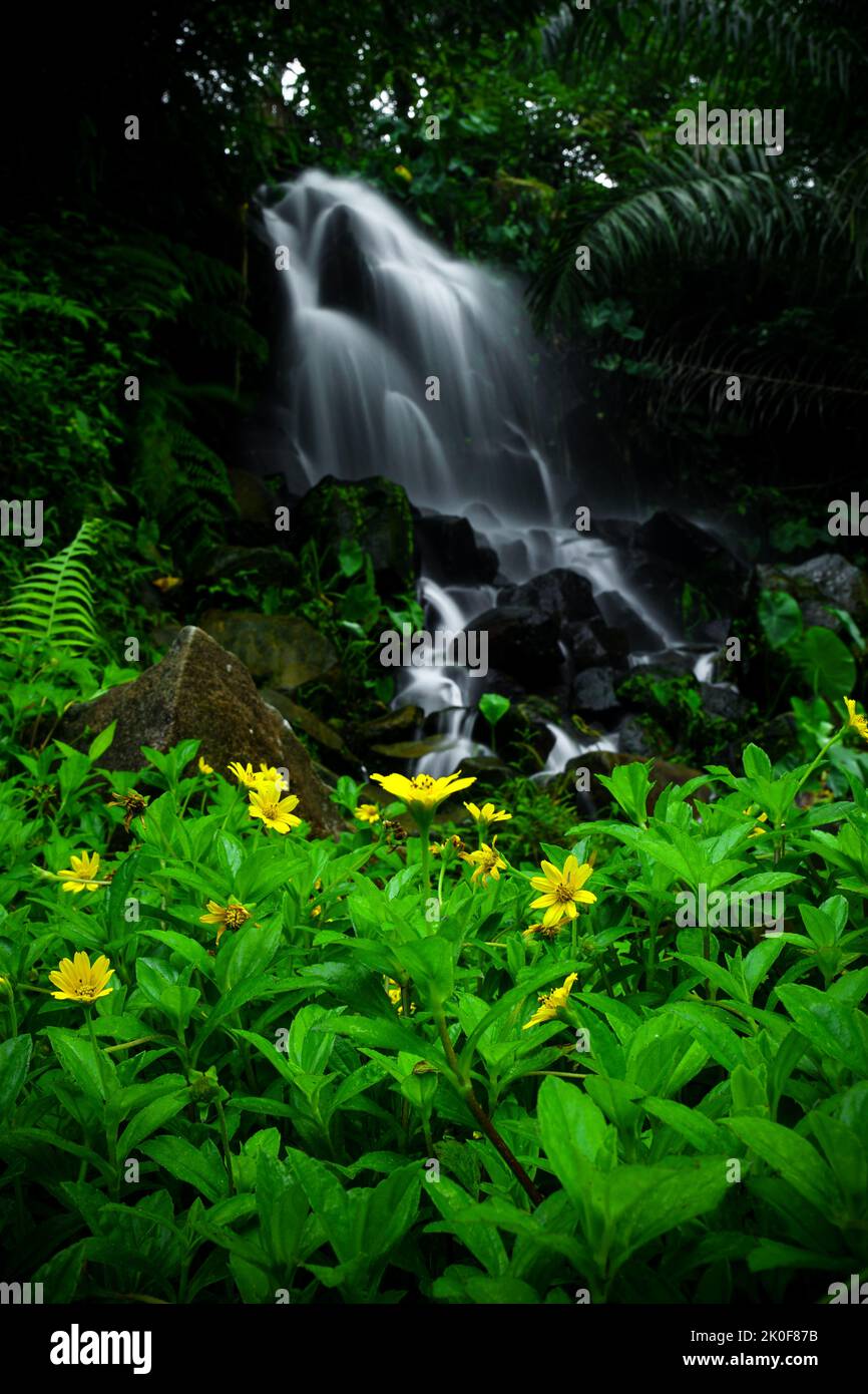 photo of a waterfall in aceh indonesia Stock Photo - Alamy