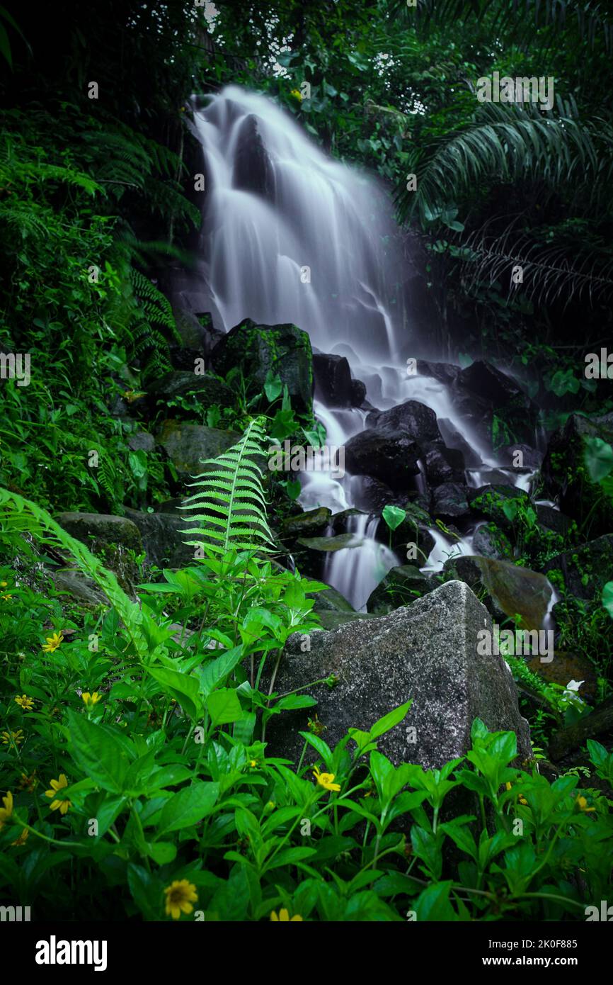 Aceh waterfall hi-res stock photography and images - Alamy