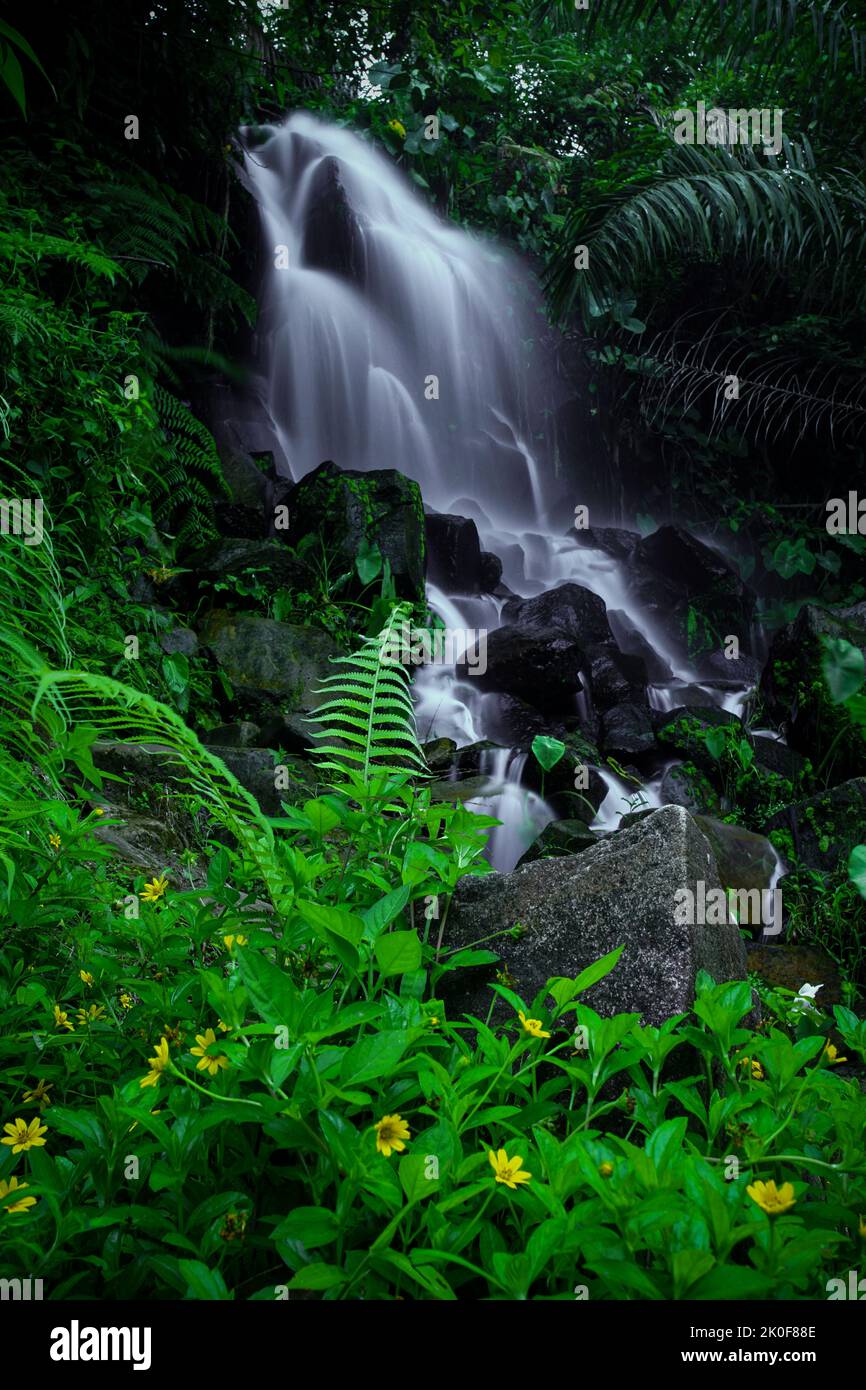 Aceh waterfall hi-res stock photography and images - Alamy