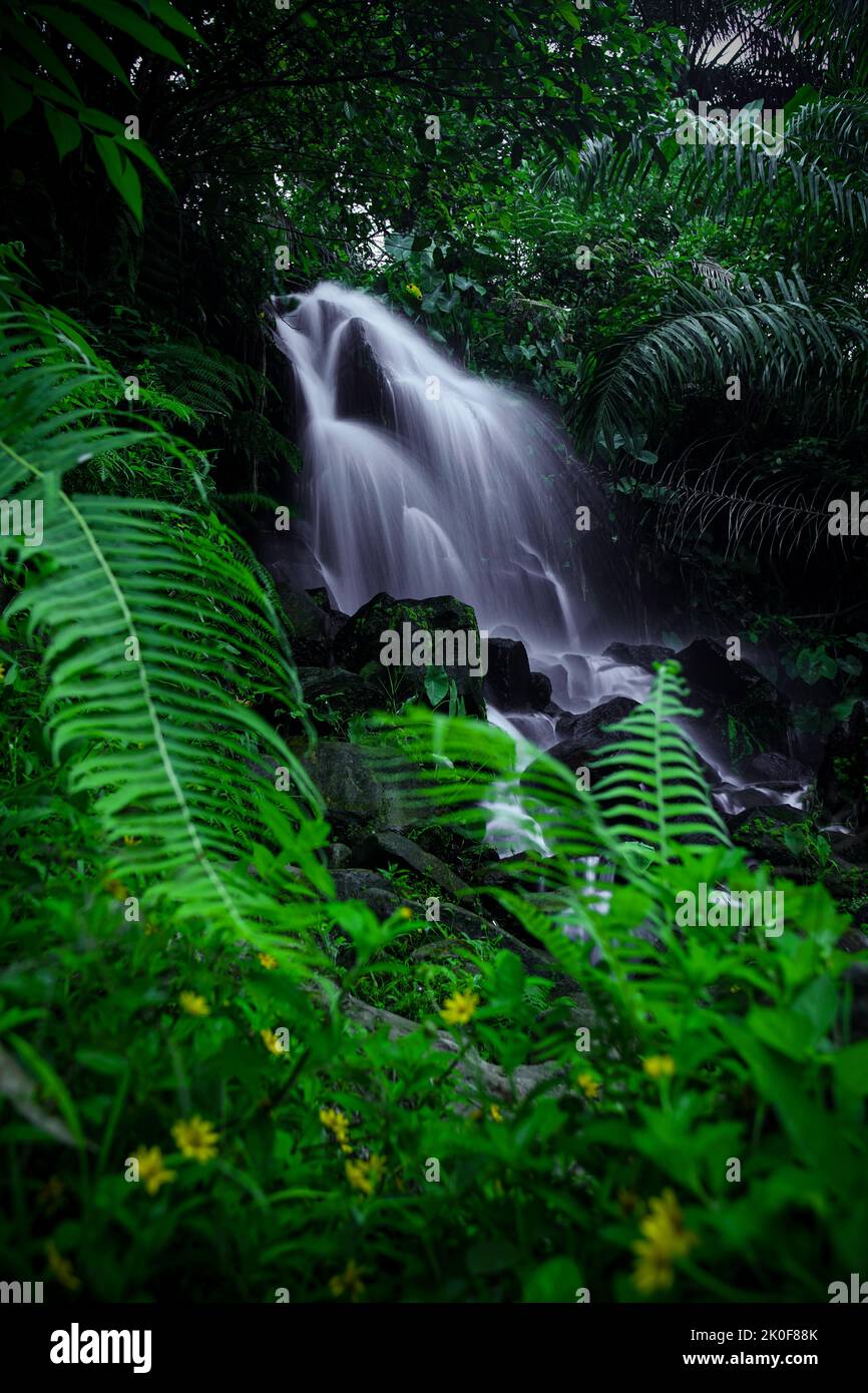 Photo of a waterfall hi-res stock photography and images - Alamy