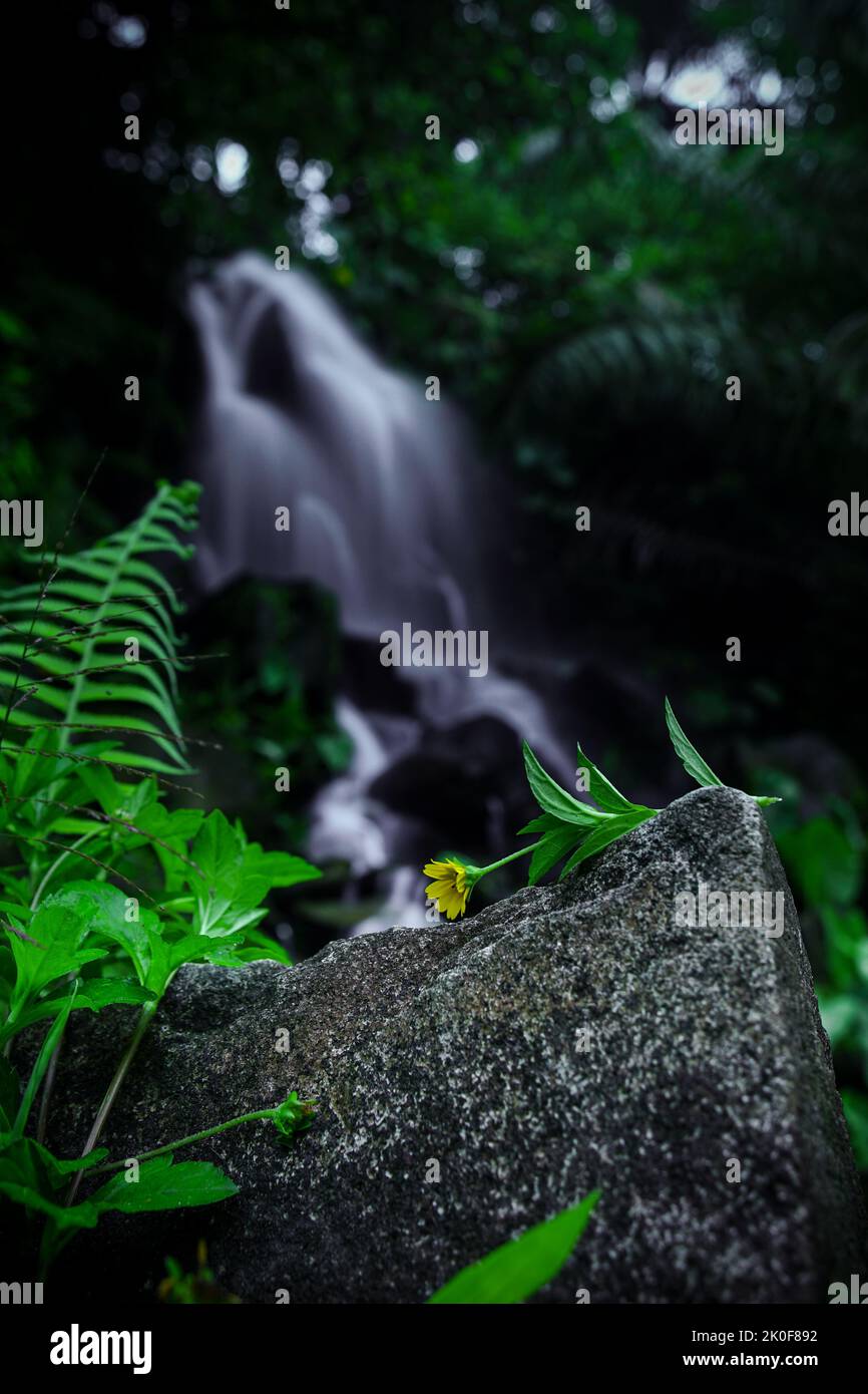 Aceh waterfall hi-res stock photography and images - Alamy