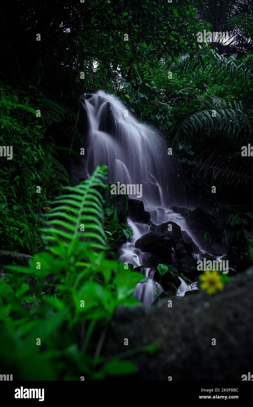 Aceh waterfall hi-res stock photography and images - Alamy