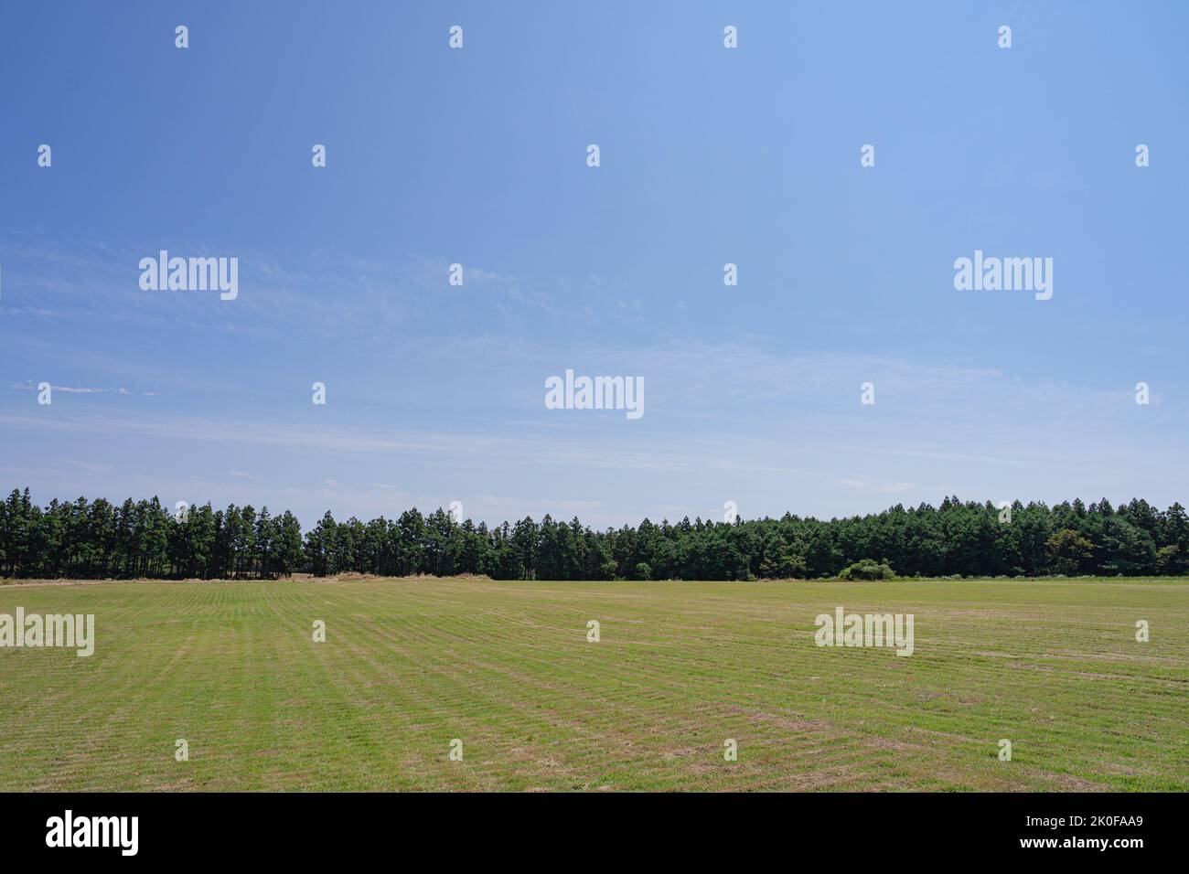 Wide open blue grass hi-res stock photography and images - Alamy