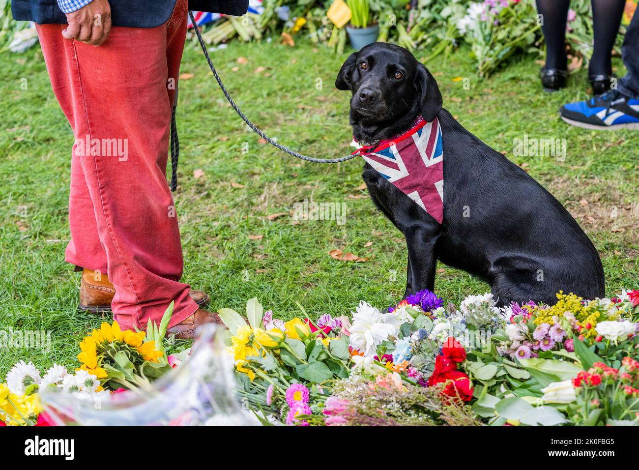 London, UK. 11th Sep, 2022. Poppy wears a tribute around her neck ...