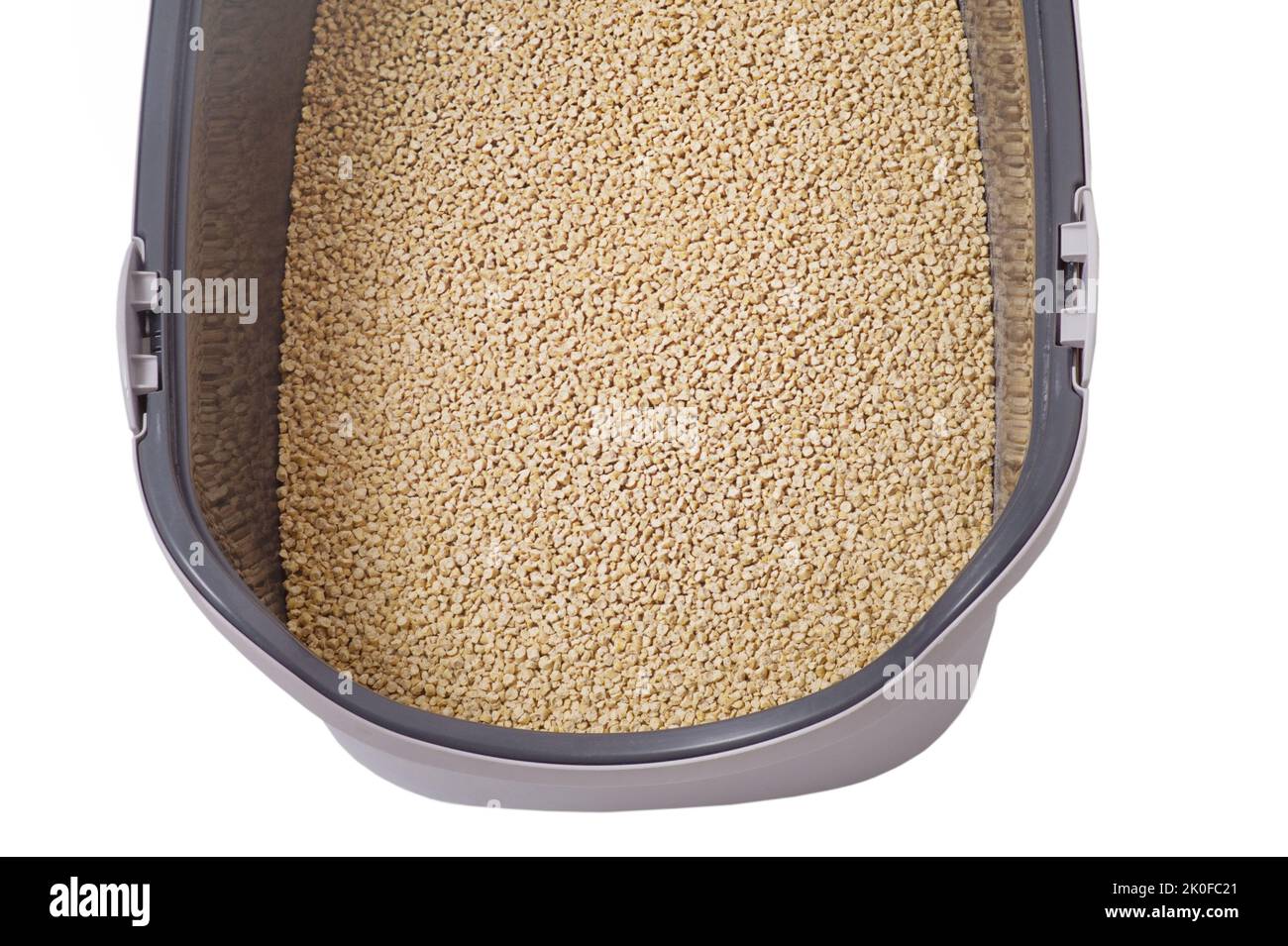 Toilet with eco corn filler for cats. Cat litter box isolated on white ...