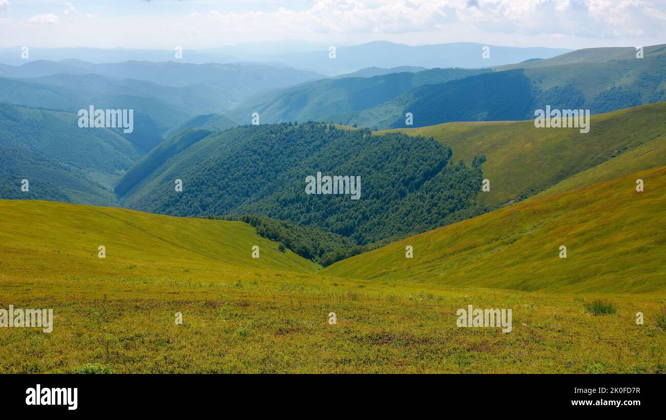 Lush forested valley distant hills hi-res stock photography and images ...