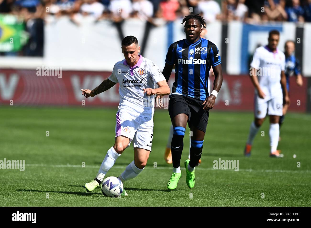 Cremonese caleb hi-res stock photography and images - Alamy