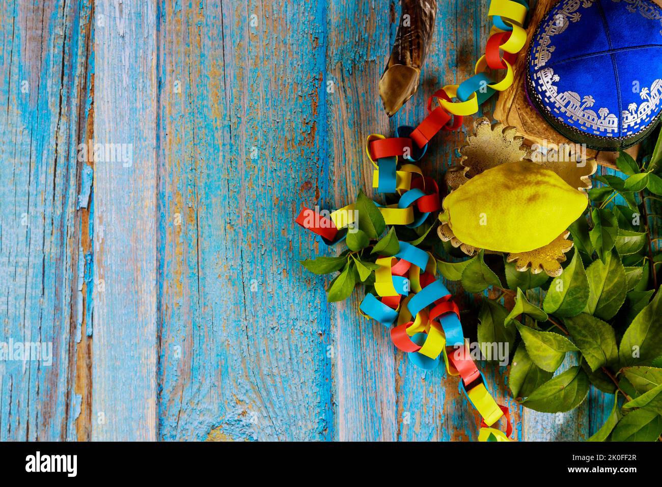The Jewish festival of Tabernacles is known for the etrog ritual citrus ...