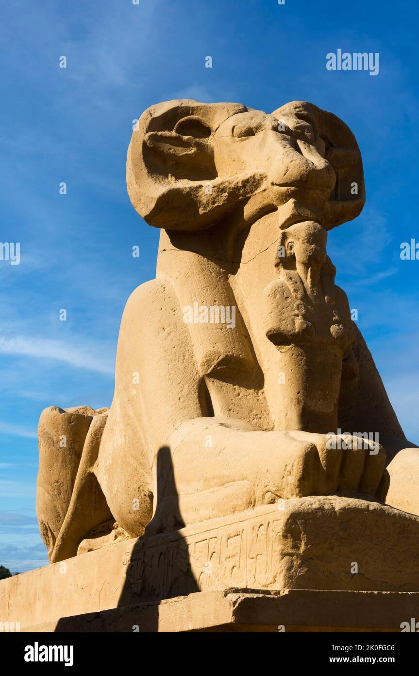 Sphinx karnak temple luxor hi-res stock photography and images - Alamy