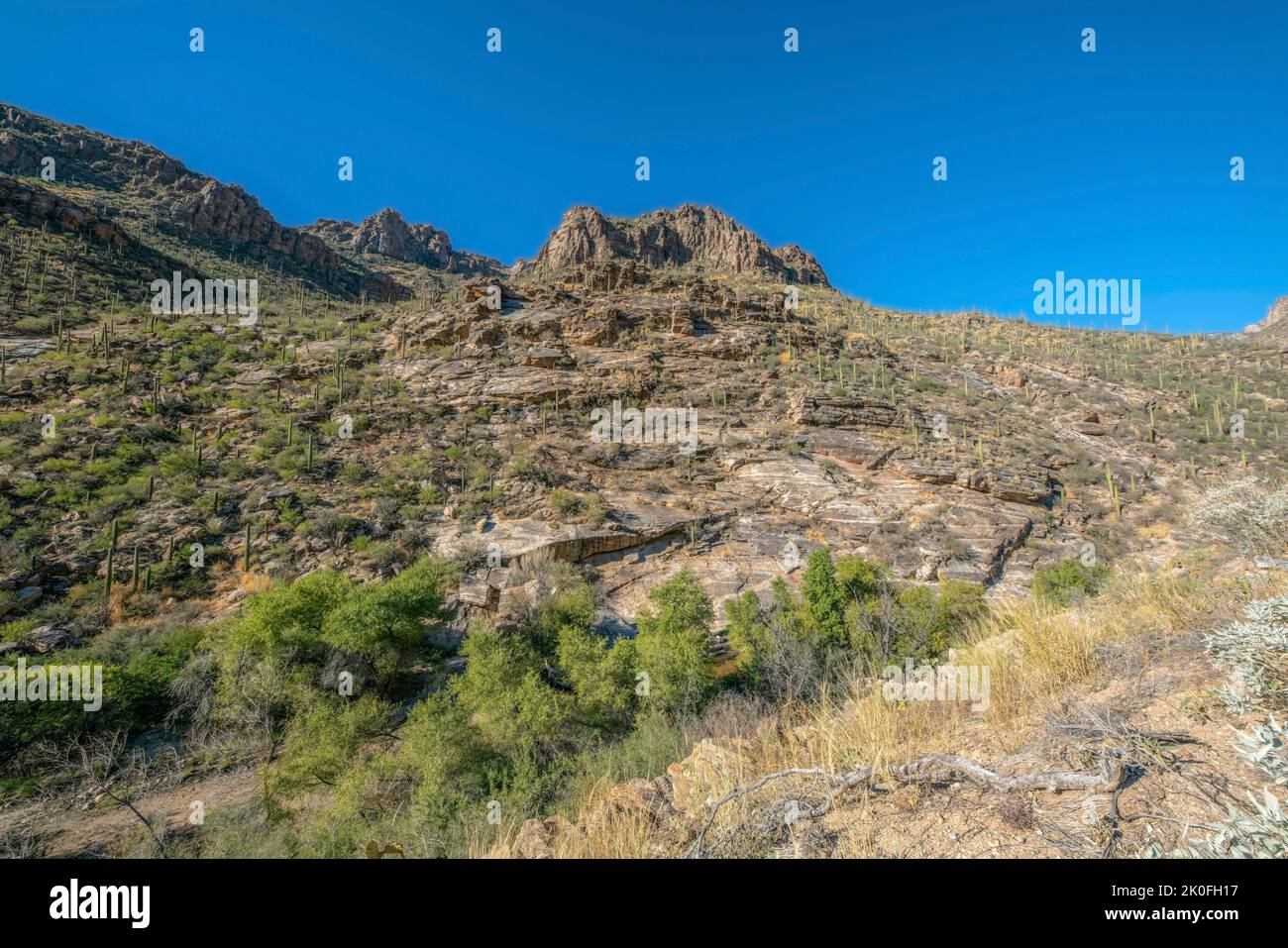Sabino Canyon landscape in scenic Arizona national state park on a ...