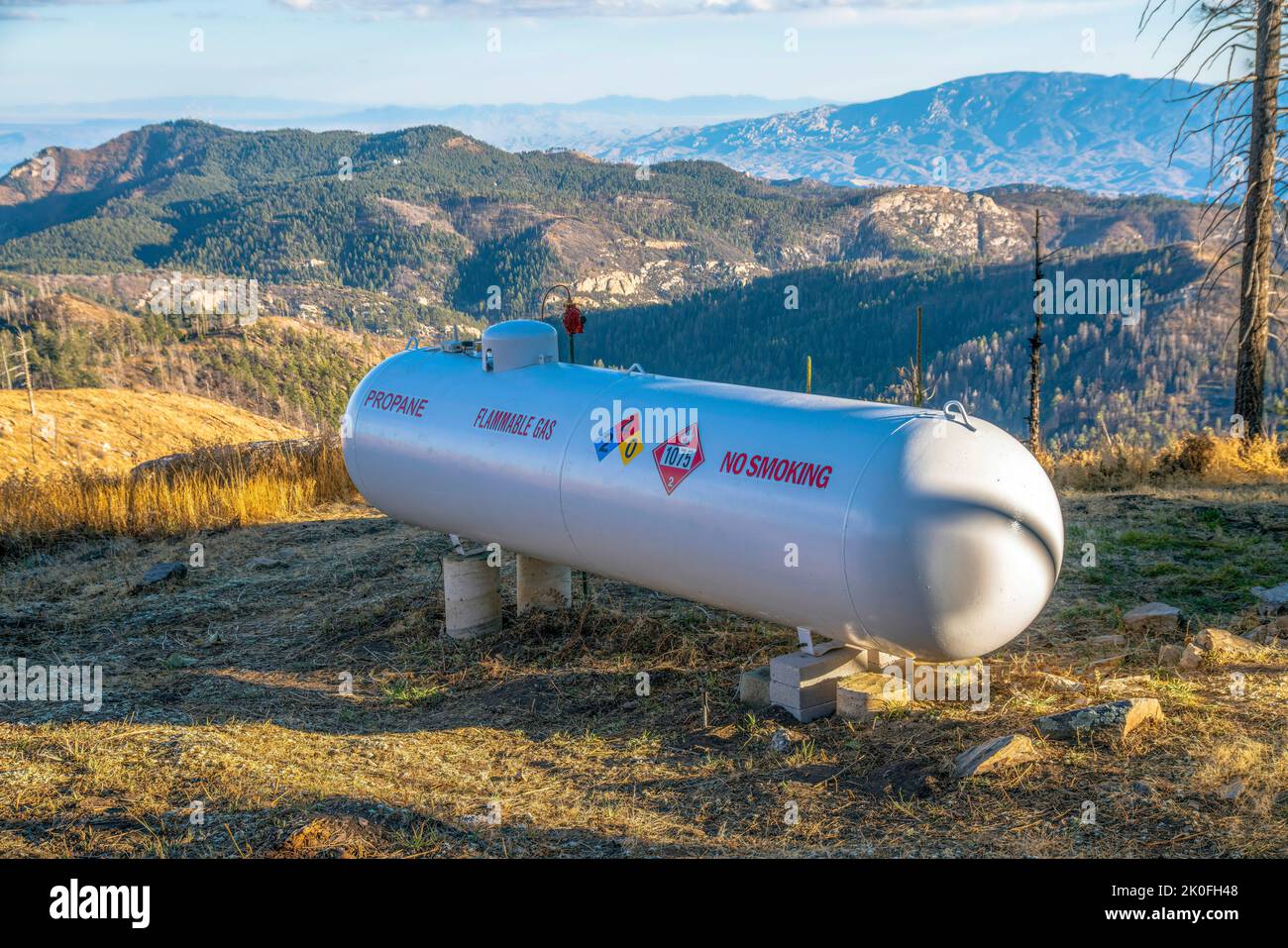 Is Propane Gas Flammable at Clayton Cooper blog