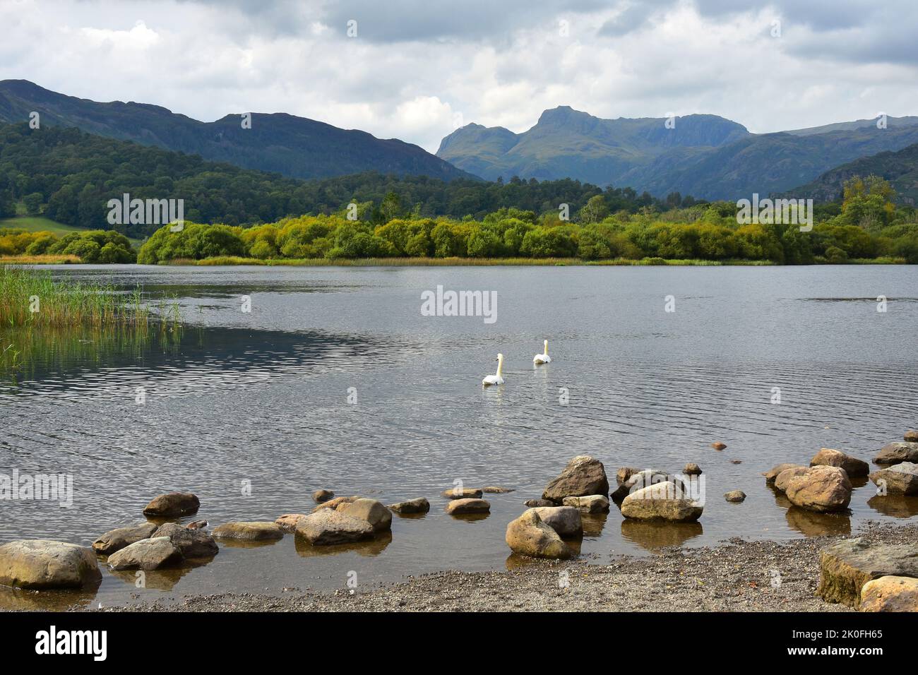 Walk by Great Langdale Beck to Elterwater, Lake District national park ...