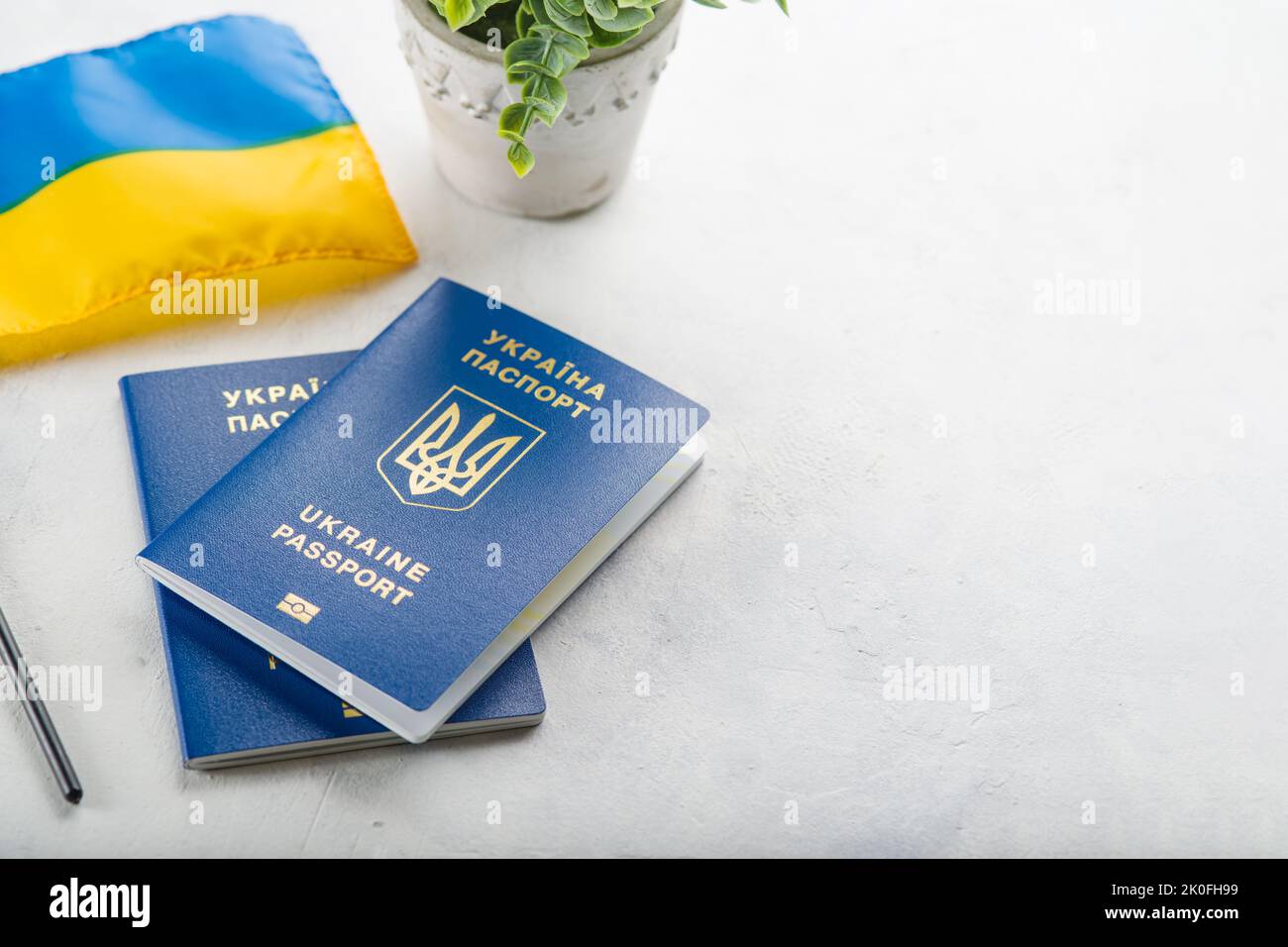 On a white background are two biometric Ukrainian passports and a small ...