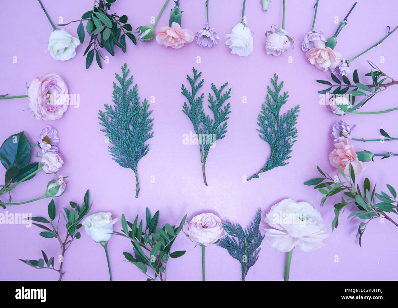 Bush overhead hi-res stock photography and images - Alamy