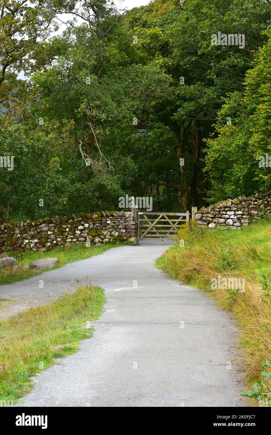 Walk by Great Langdale Beck to Elterwater, Lake District national park ...