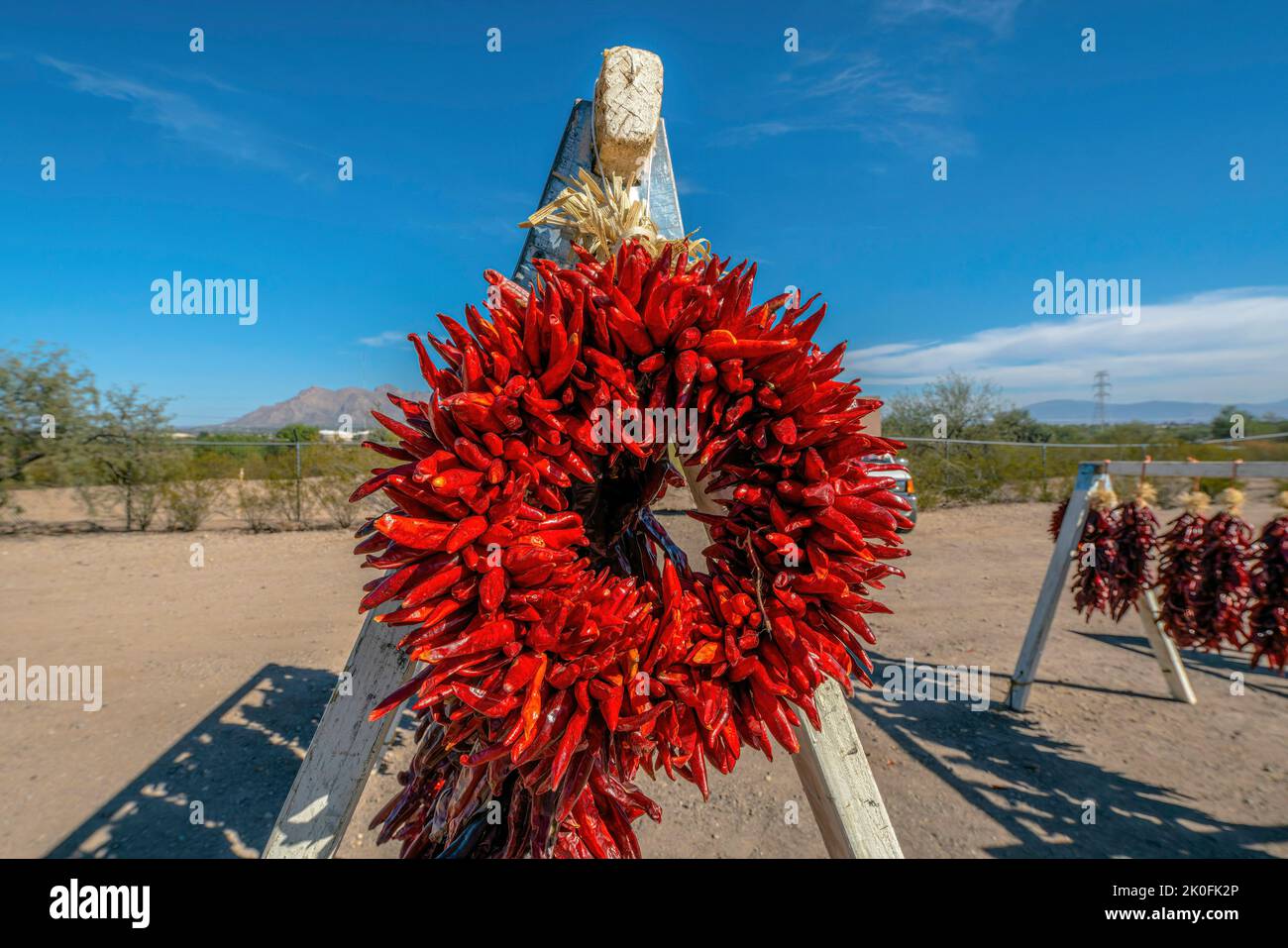 Tucson, Arizona- Hanging wreath of chili peppers on the side of the ...