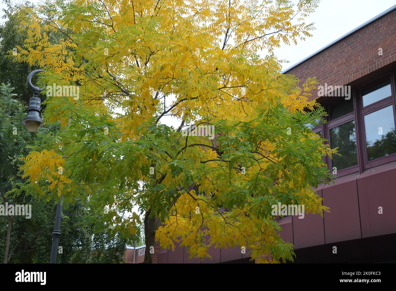 Berlin in fall hi-res stock photography and images - Alamy