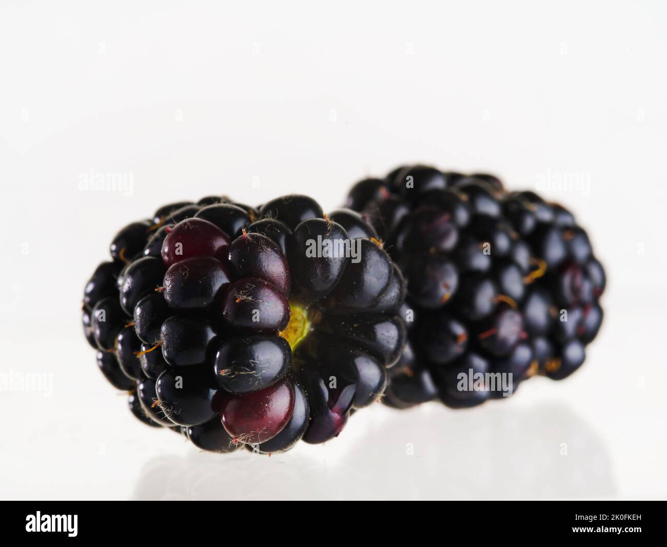 On a white background, two ripe blackberries. Close-up. Minimalism ...