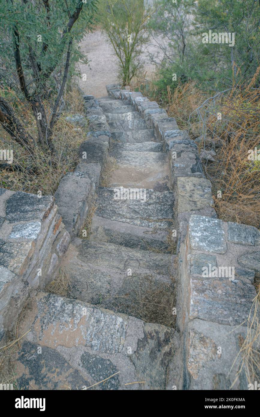 Rock stairs with wild grass and trees in Sabino Canyon State Park ...