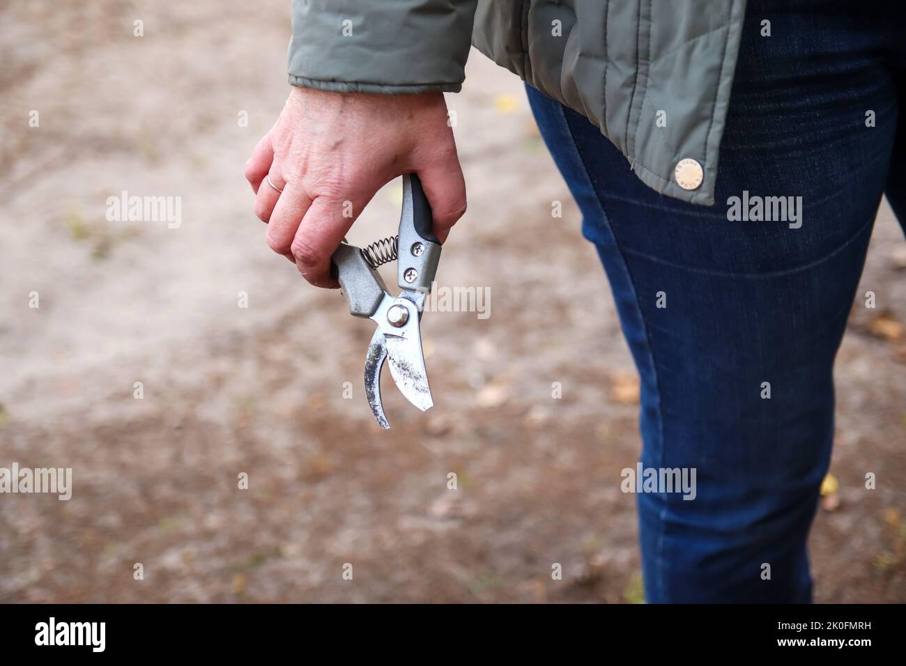 Defocus gardening scissors. Female hand holding gardening scissors ...