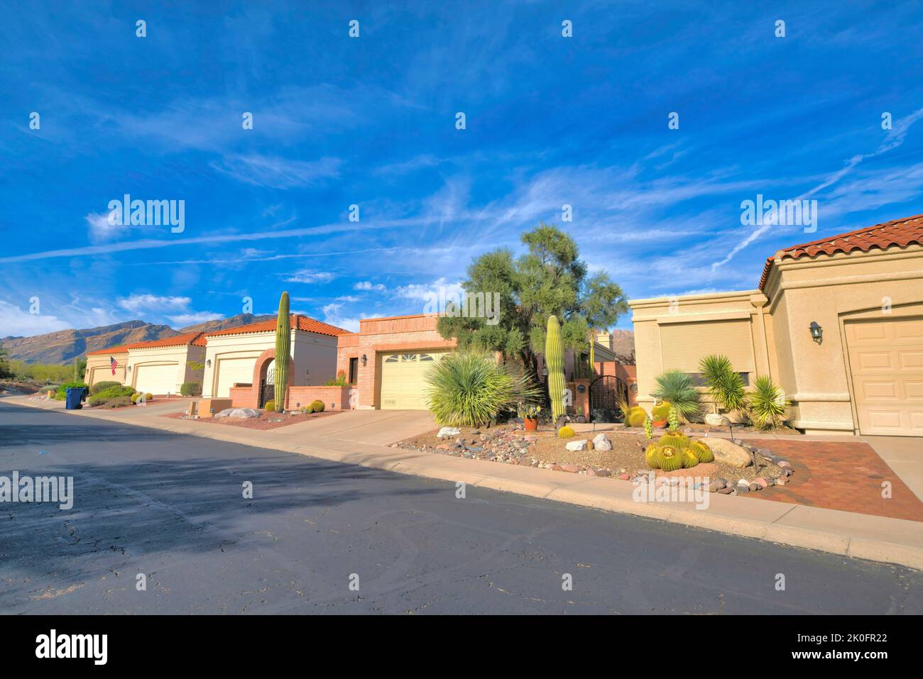 Arizona tucson exterior house in suburbs cactus hi-res stock ...