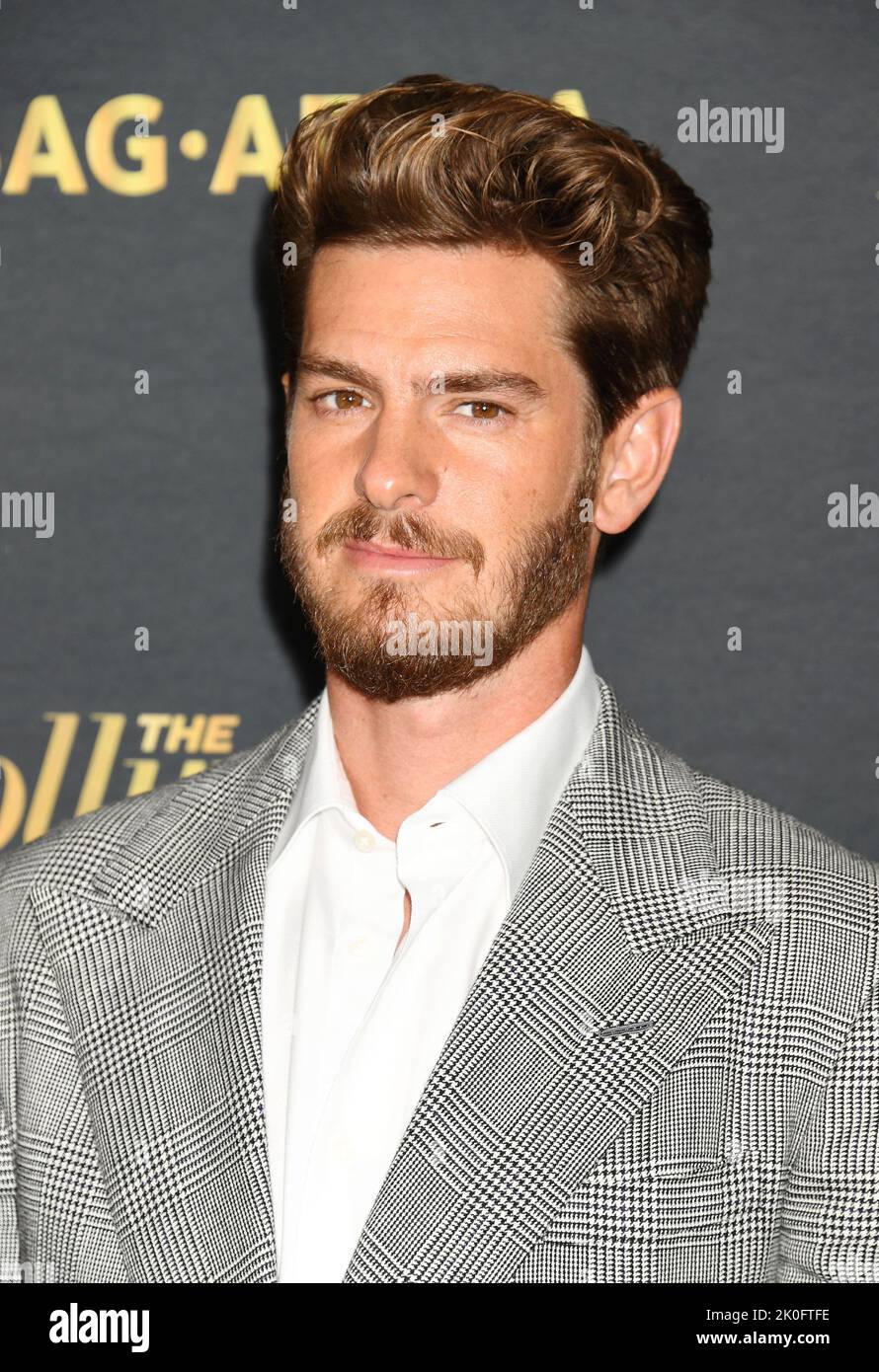 LOS ANGELES, CA - SEPTEMBER 10: Andrew Garfield attends The Hollywood ...