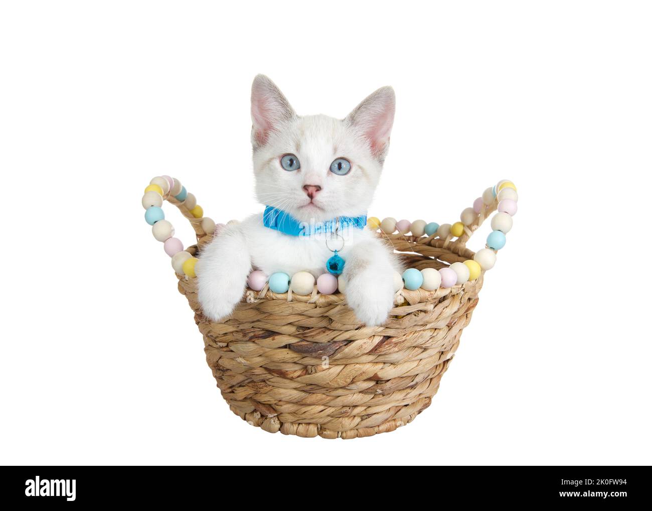 Wearing a basket Cut Out Stock Images & Pictures - Alamy
