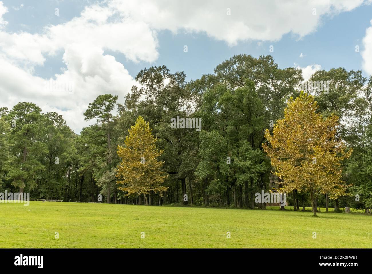 Preserved pasture hi-res stock photography and images - Alamy