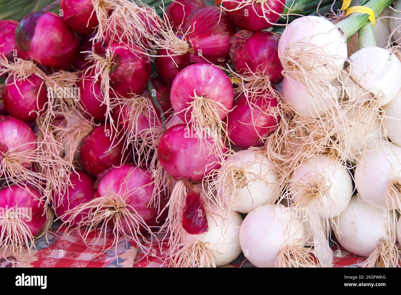White onions and red shallots hi-res stock photography and images - Alamy