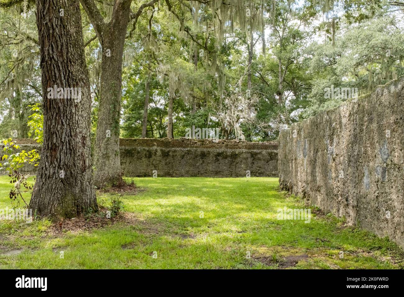 Ashley river historic corridor hi-res stock photography and images - Alamy