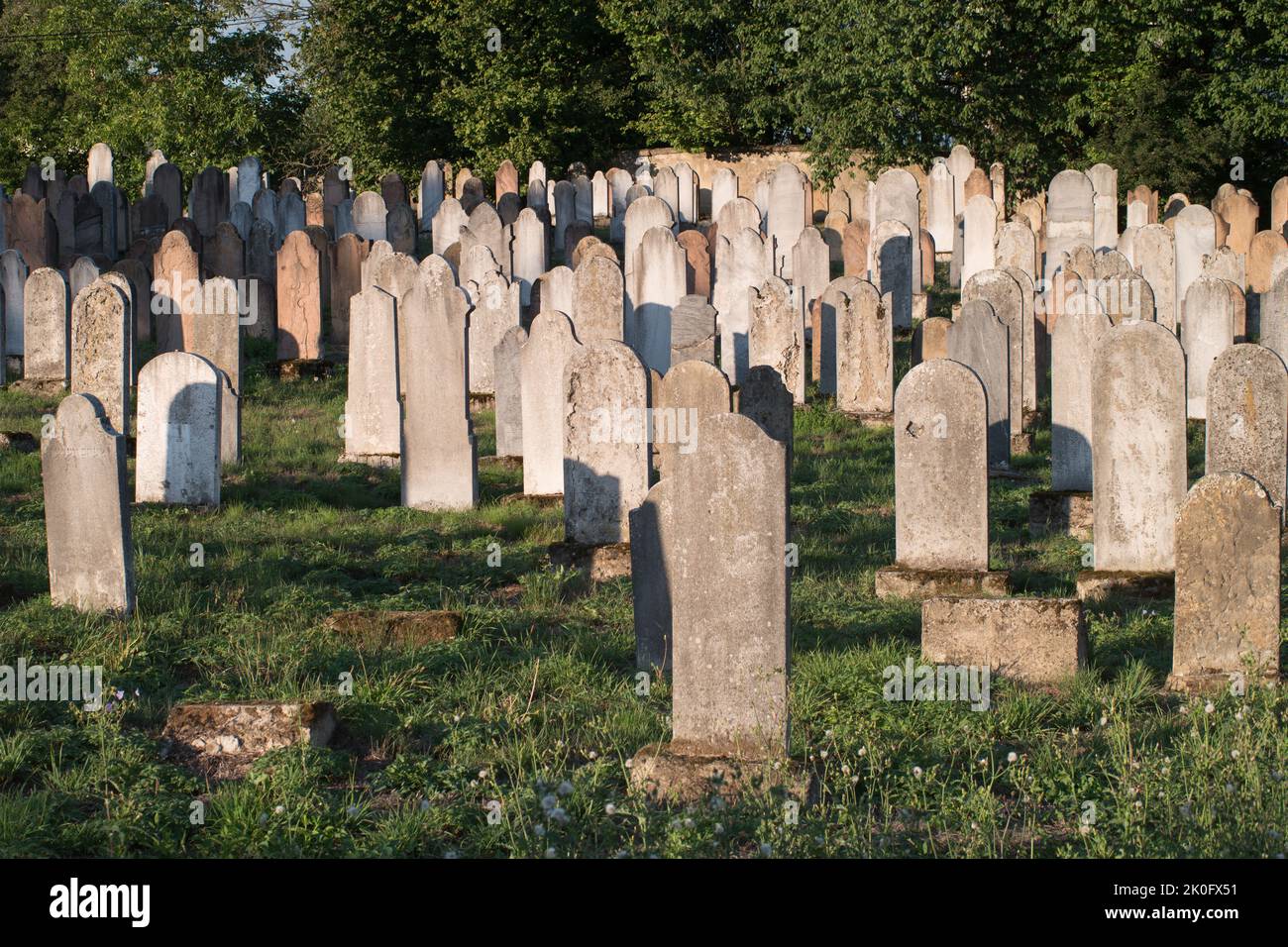 Bardejov, Slovakia. Historical Jewish cemetery from 18th to 20th ...