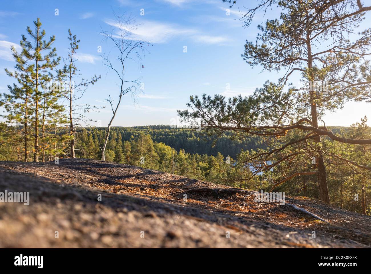Natural landscape in Nuuksio national park in Finland Stock Photo - Alamy