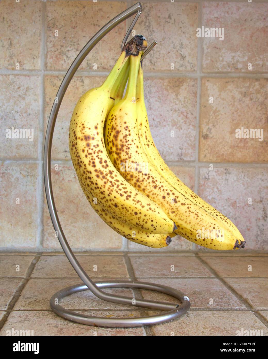 Over ripe bunch of bananas hanging from kitchen stand on brown tile ...