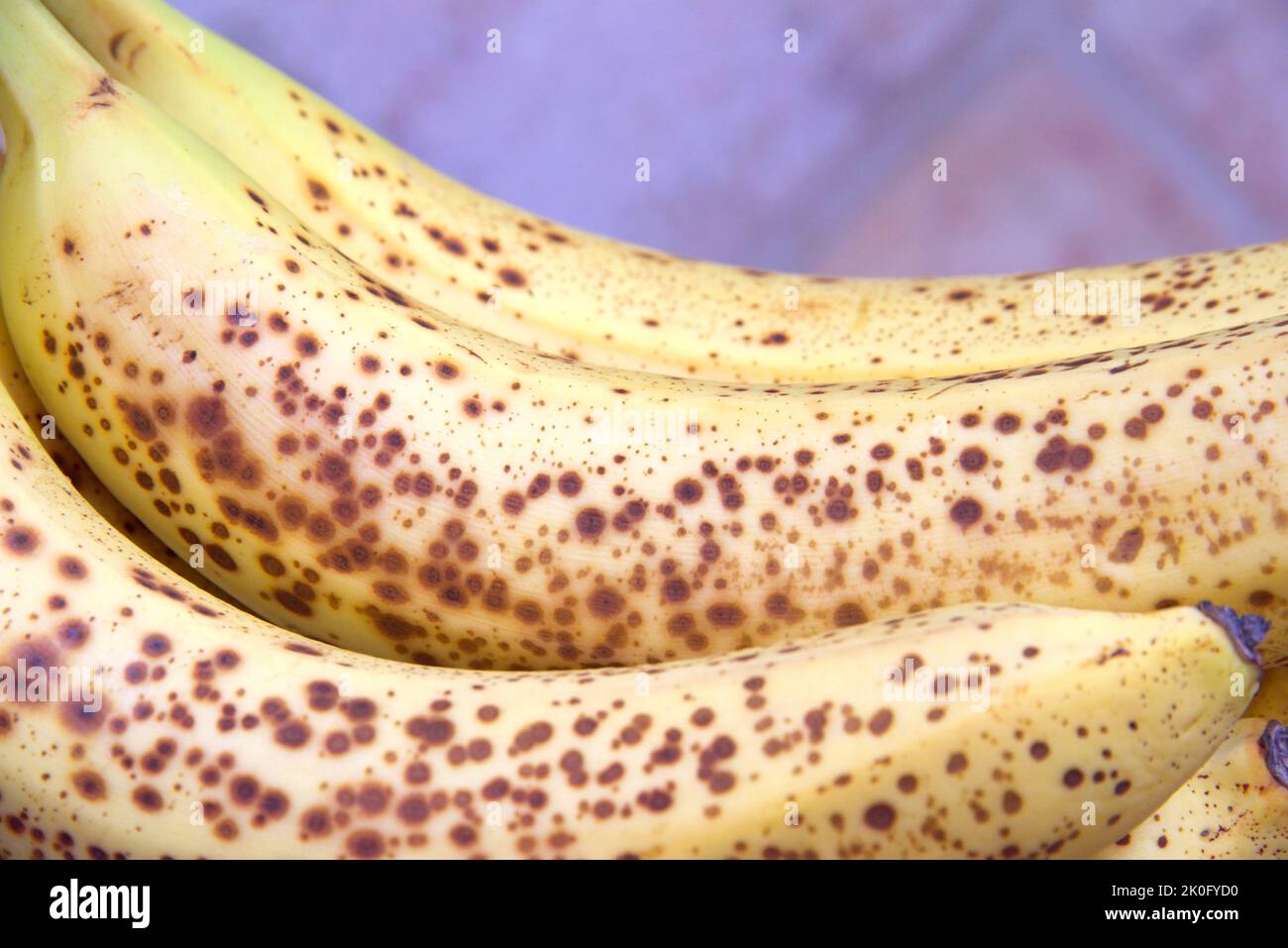 Close up on over ripe bananas. yellow with brown spots forming Stock ...