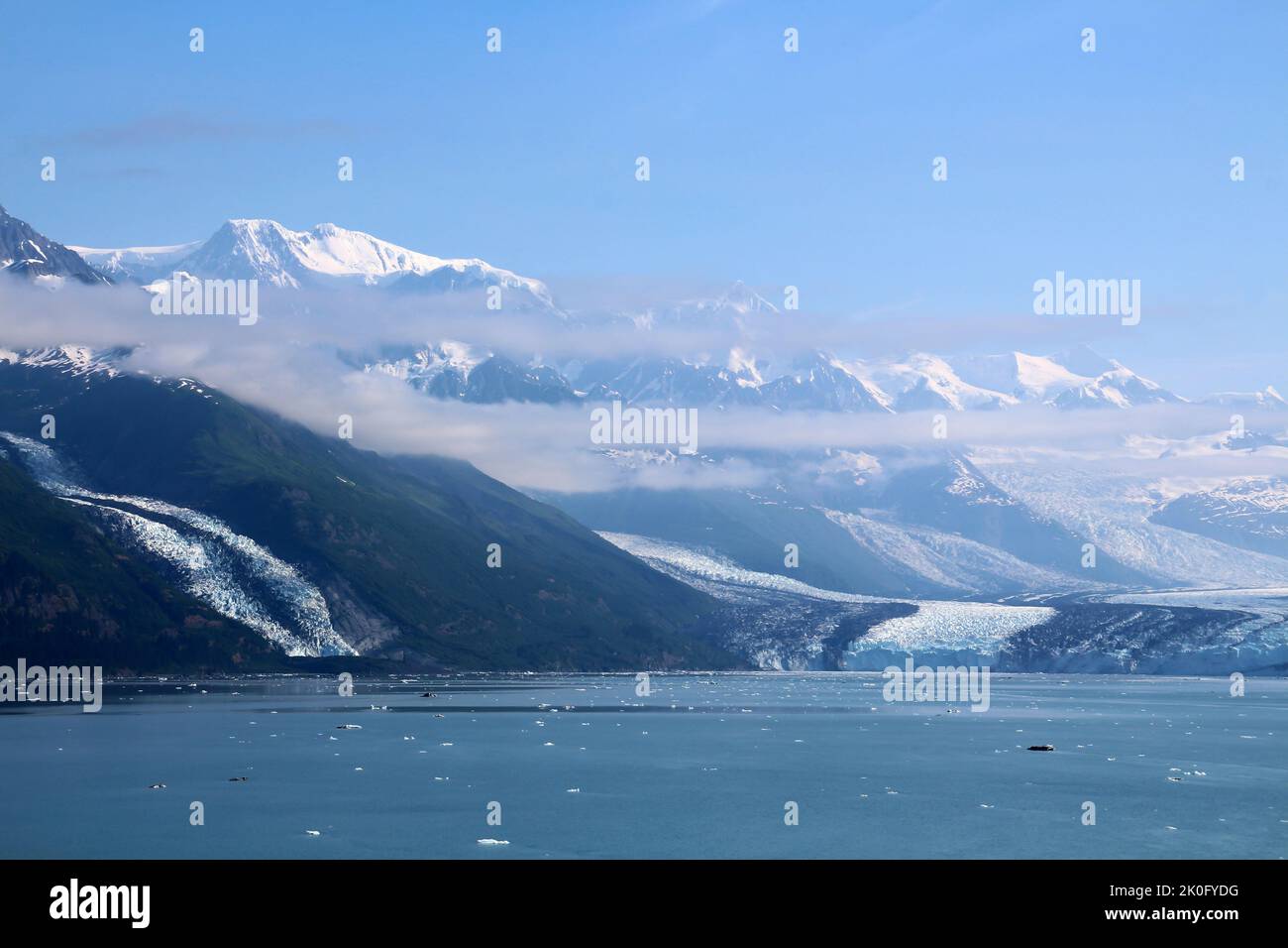 Alaska, Harvard Glacier in College Fjord Stock Photo - Alamy