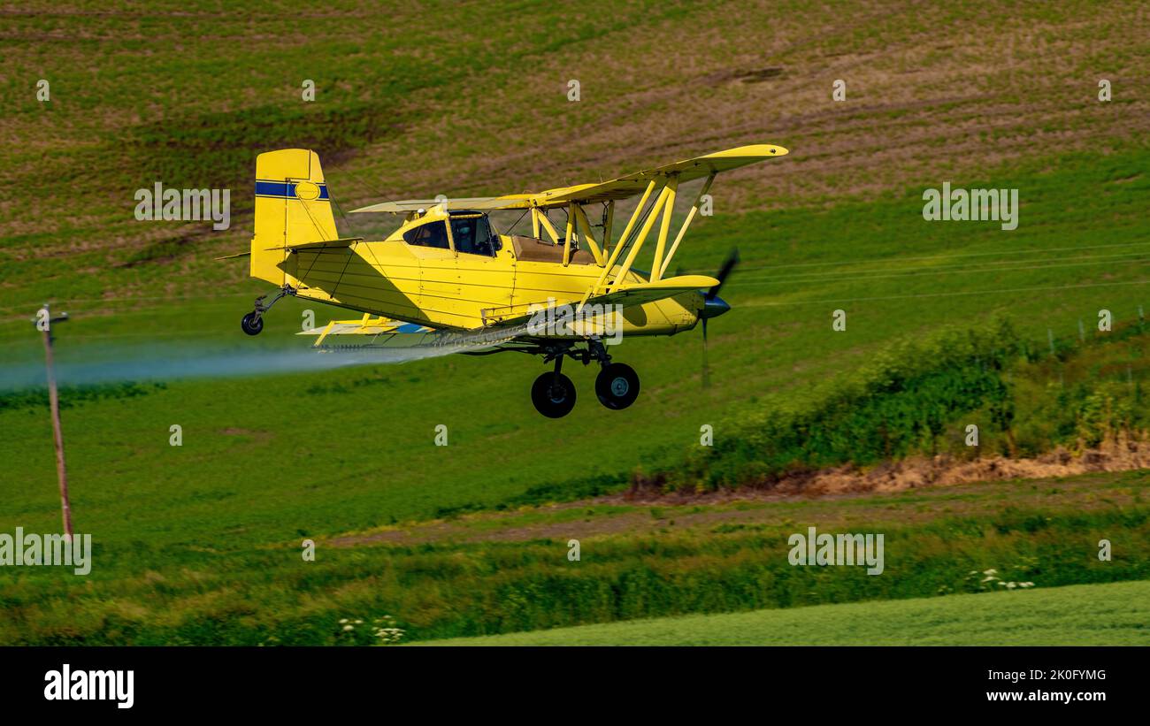 Yellow air plane treats crops from the air Stock Photo - Alamy