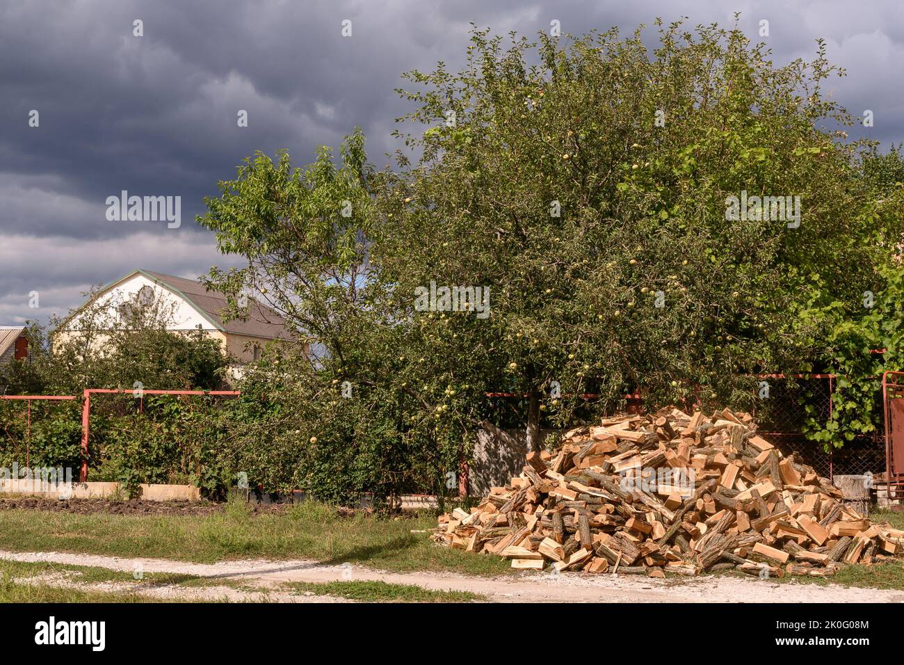 Ecological natural hi-res stock photography and images - Alamy