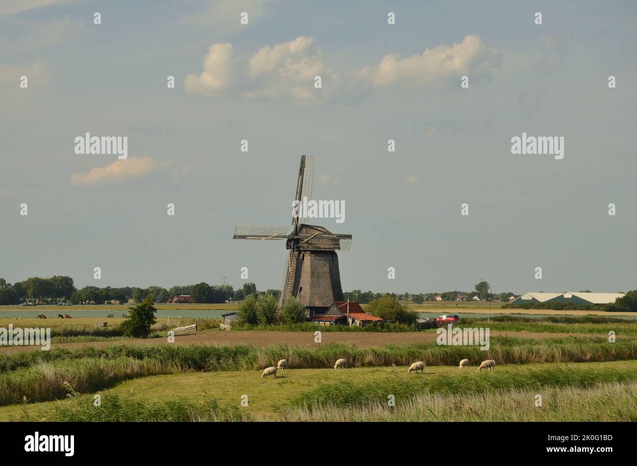 A typical Dutch landscape with windmills, near Alkmaar, North Holland ...