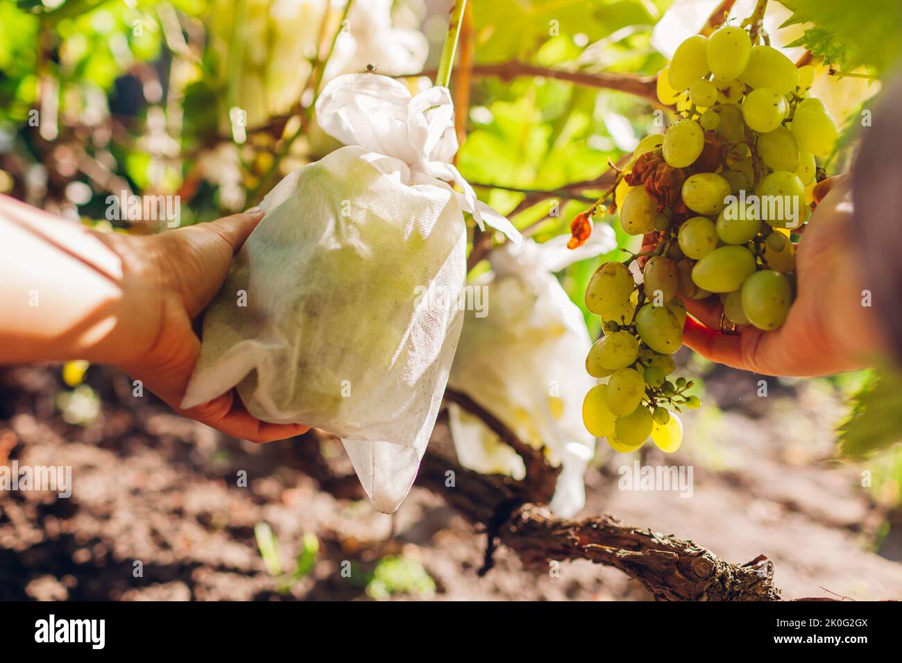 Food pouches packaging close hi-res stock photography and images - Alamy