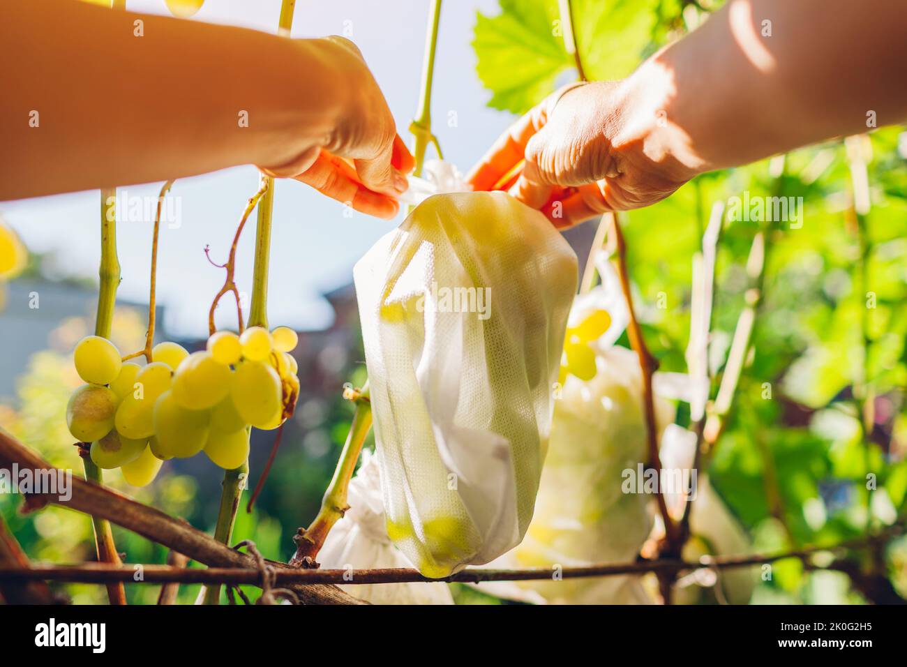 Food pouches packaging close hi-res stock photography and images - Alamy