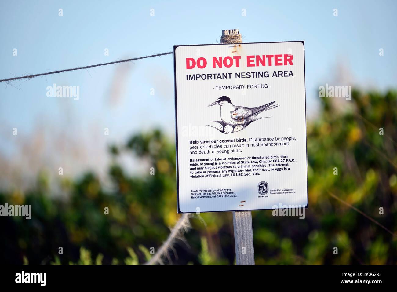 Signboard with warning about nesting area of sea birds on seaside beach ...