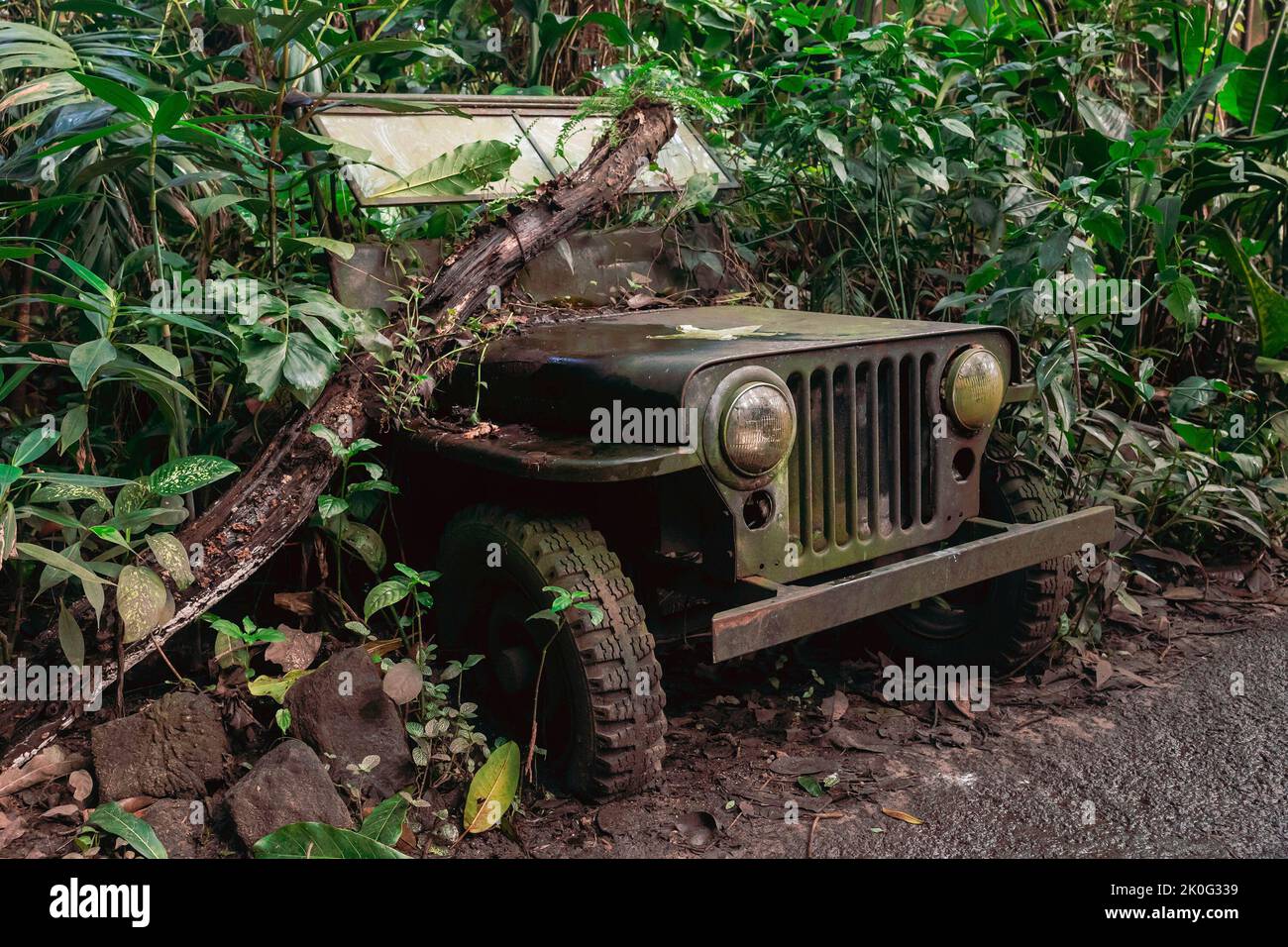Crashed military vehicle hi-res stock photography and images - Alamy
